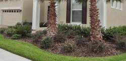 Property Maintenance - Graham Landscape - Brandon | Lithia | Riverview ...